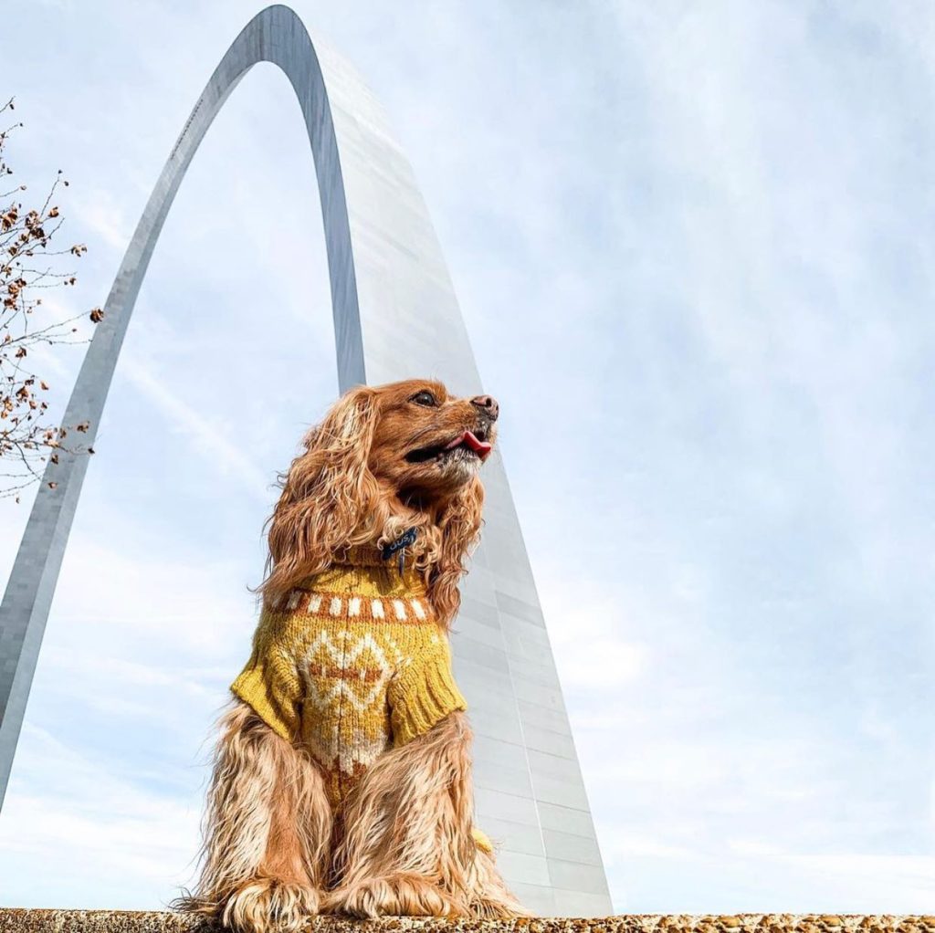5 Picture-Perfect Photo Spots in Gateway Arch National Park | The ...
